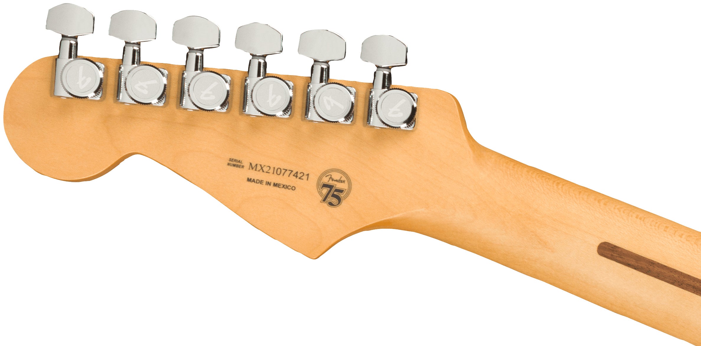Fender Electric Guitars - Player Plus Stratocaster - HSS - Pau Ferro F ...