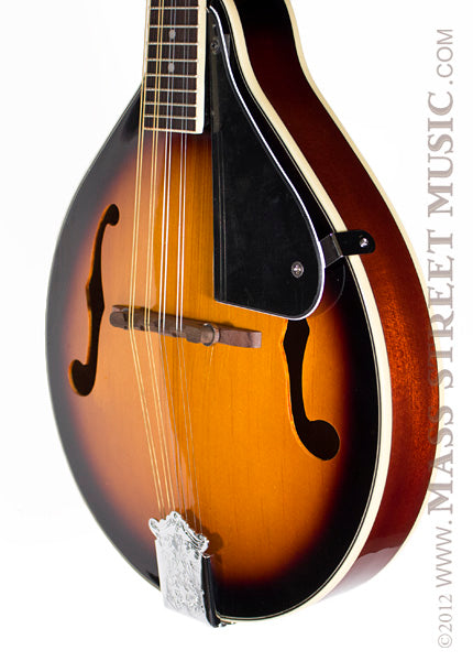 Fender FM-100 Mandolin Pack | Mass Street Music